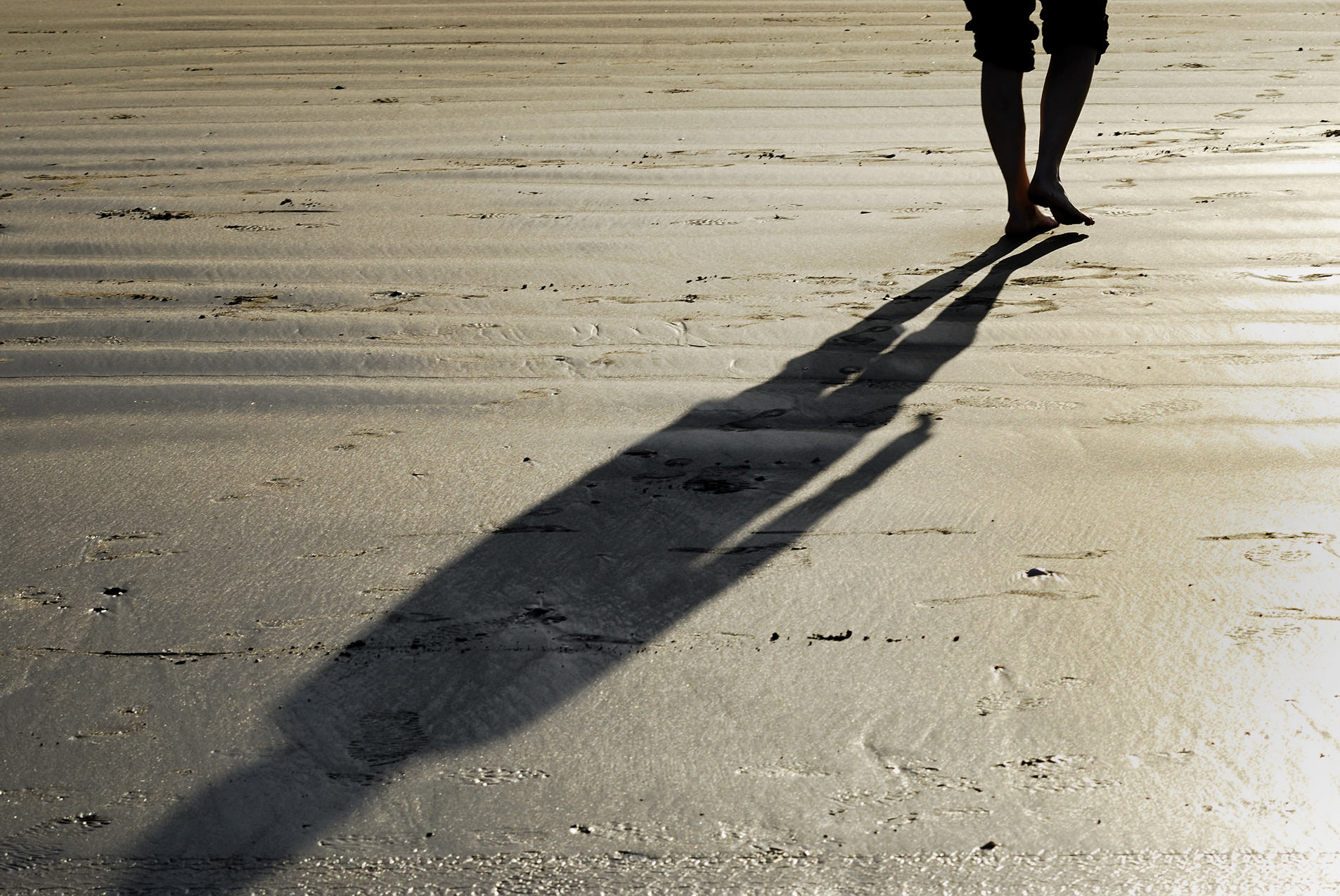 Support Around Death Scotland | Support Around Death